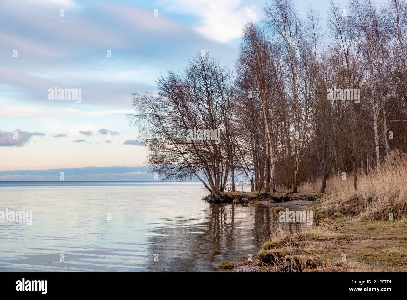 winter landscape on the beach in Puck Stock Photo - Alamy