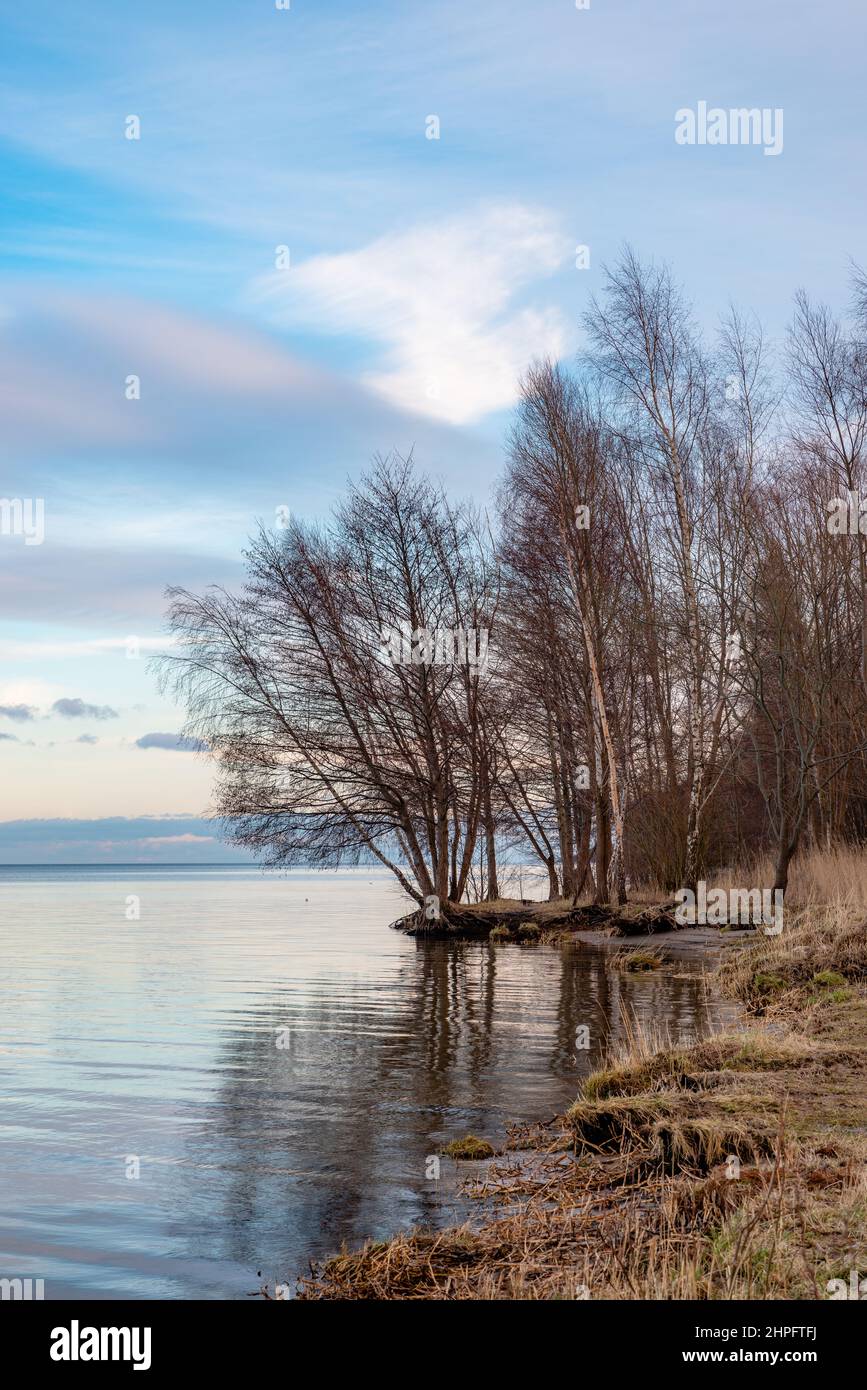 winter landscape on the beach in Puck Stock Photo - Alamy