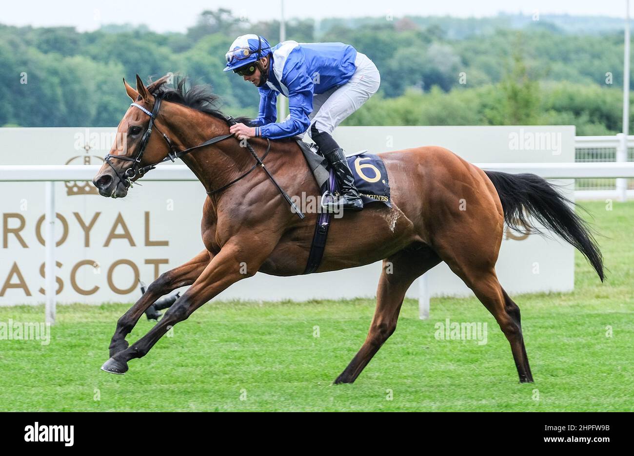 Lord north lingfield hi-res stock photography and images - Alamy