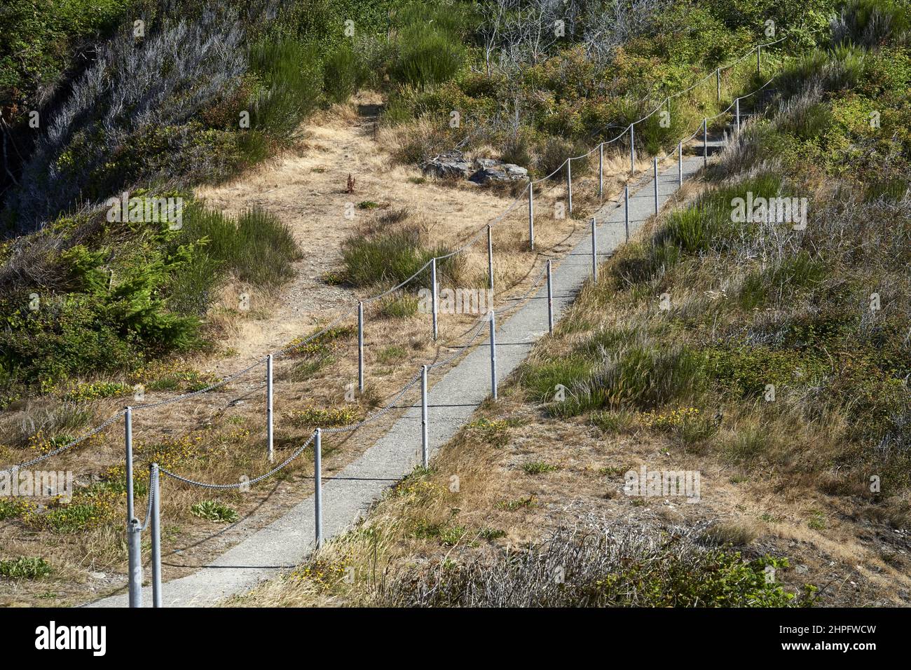 Gravel path through shrubs hi-res stock photography and images - Alamy