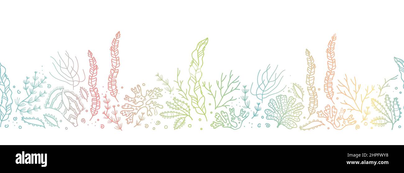 Cute seaweed seamless pattern, hand drawn underwater background, great ...