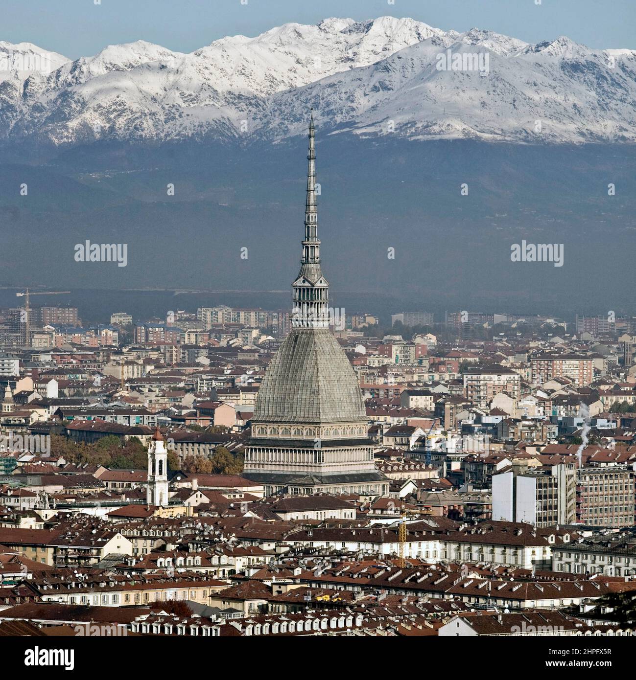 Mole ant hi-res stock photography and images - Alamy