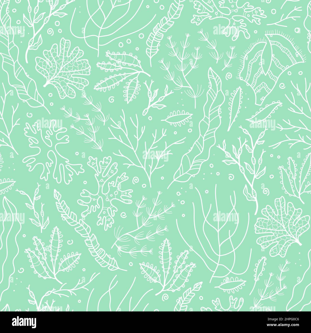 Cute seaweed seamless pattern, hand drawn underwater background, great ...