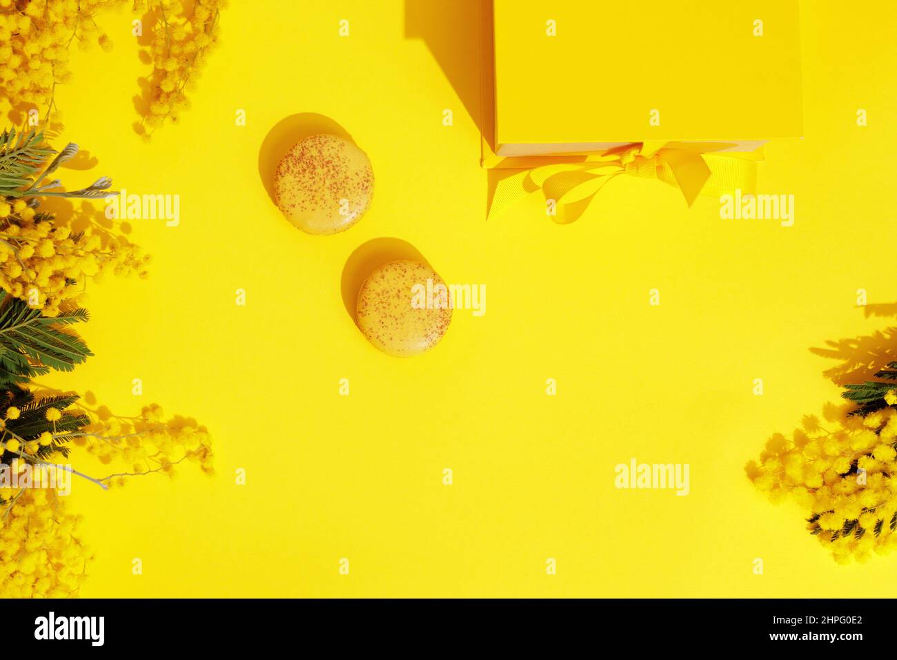 Branches of mimosa flowers, yellow macaroons and yellow gift box with ...