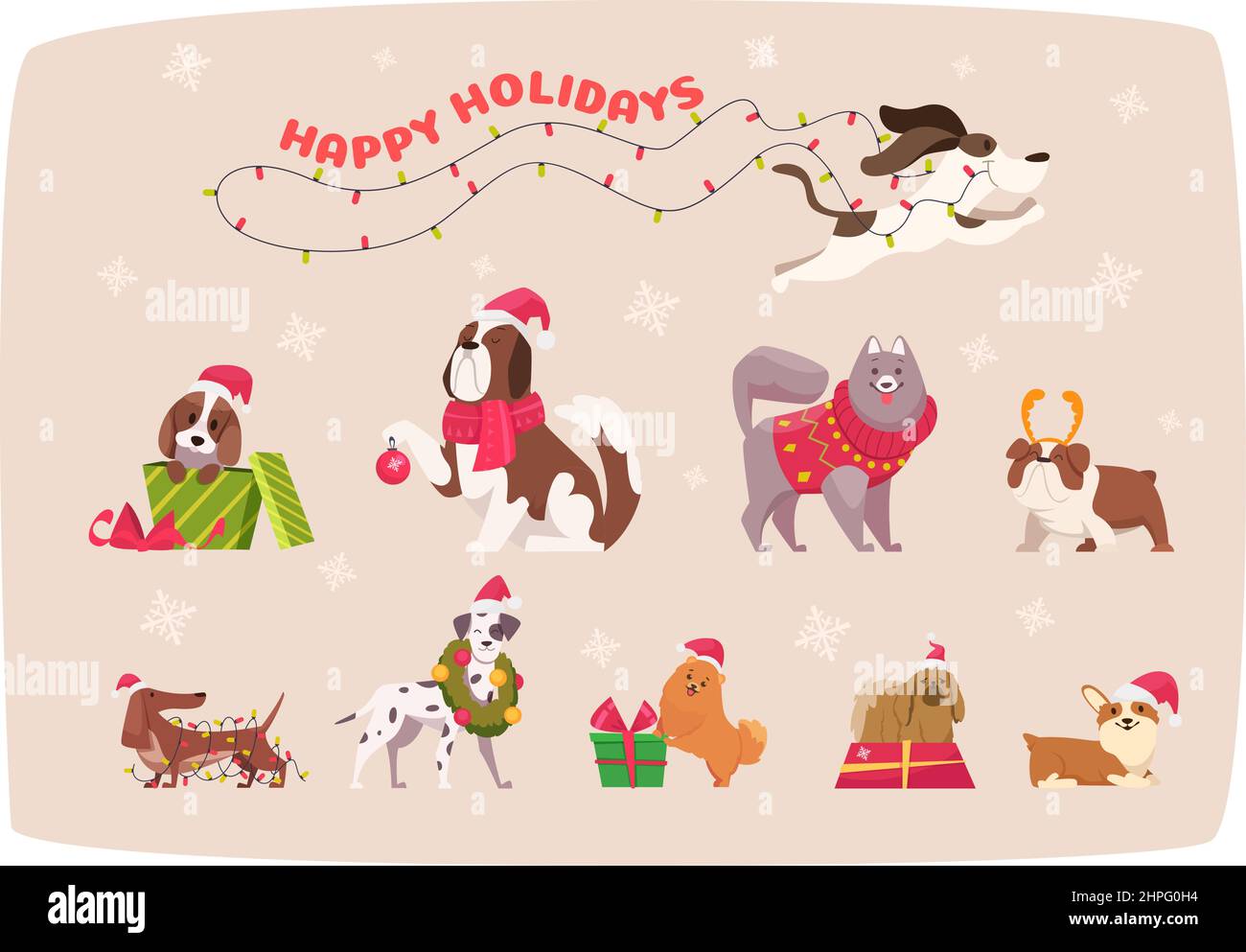 Funny christmas dogs. Cute puppy in winter clothes animals in scarf and ...