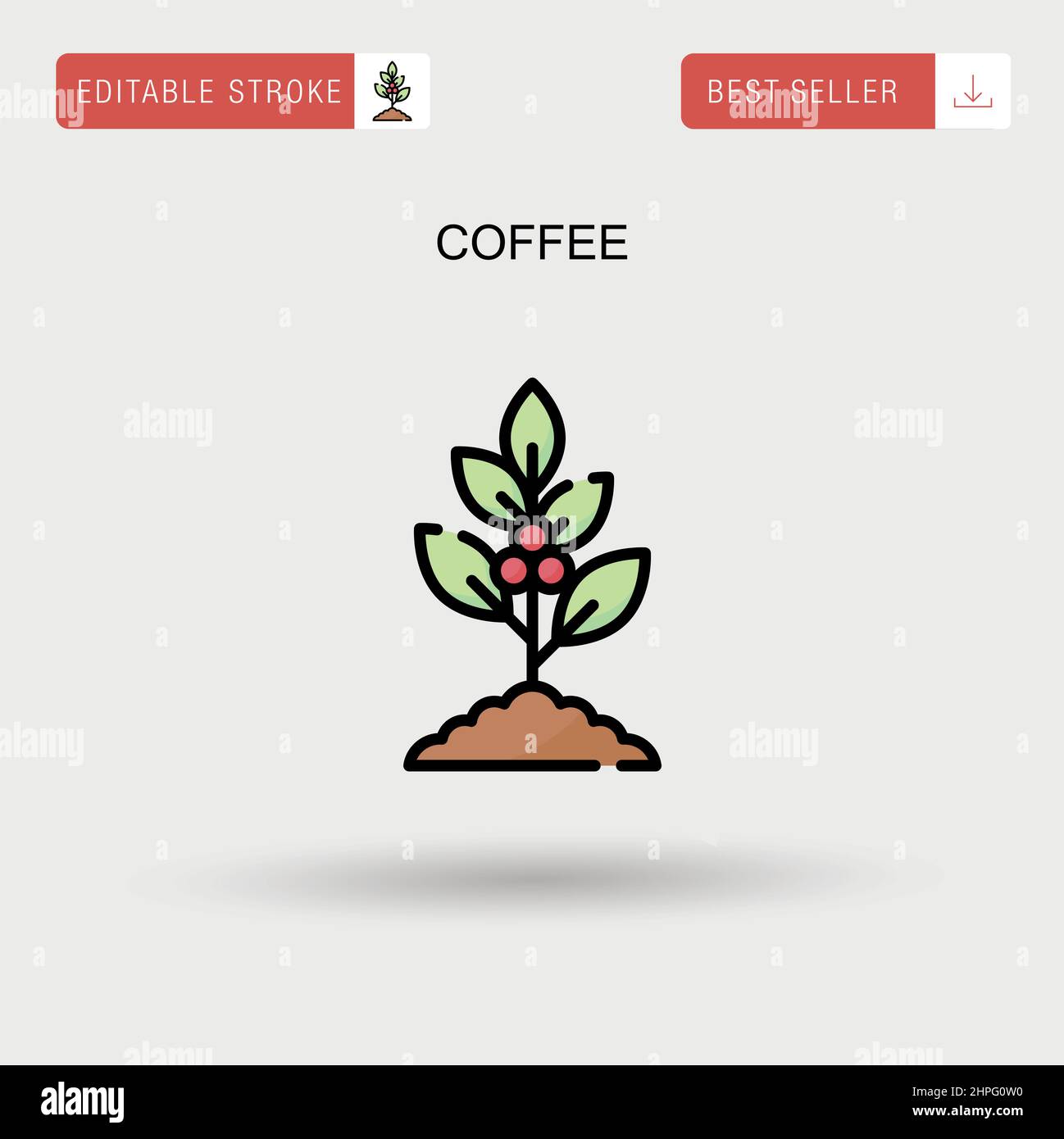 Arabica coffee seed Stock Vector Images - Alamy