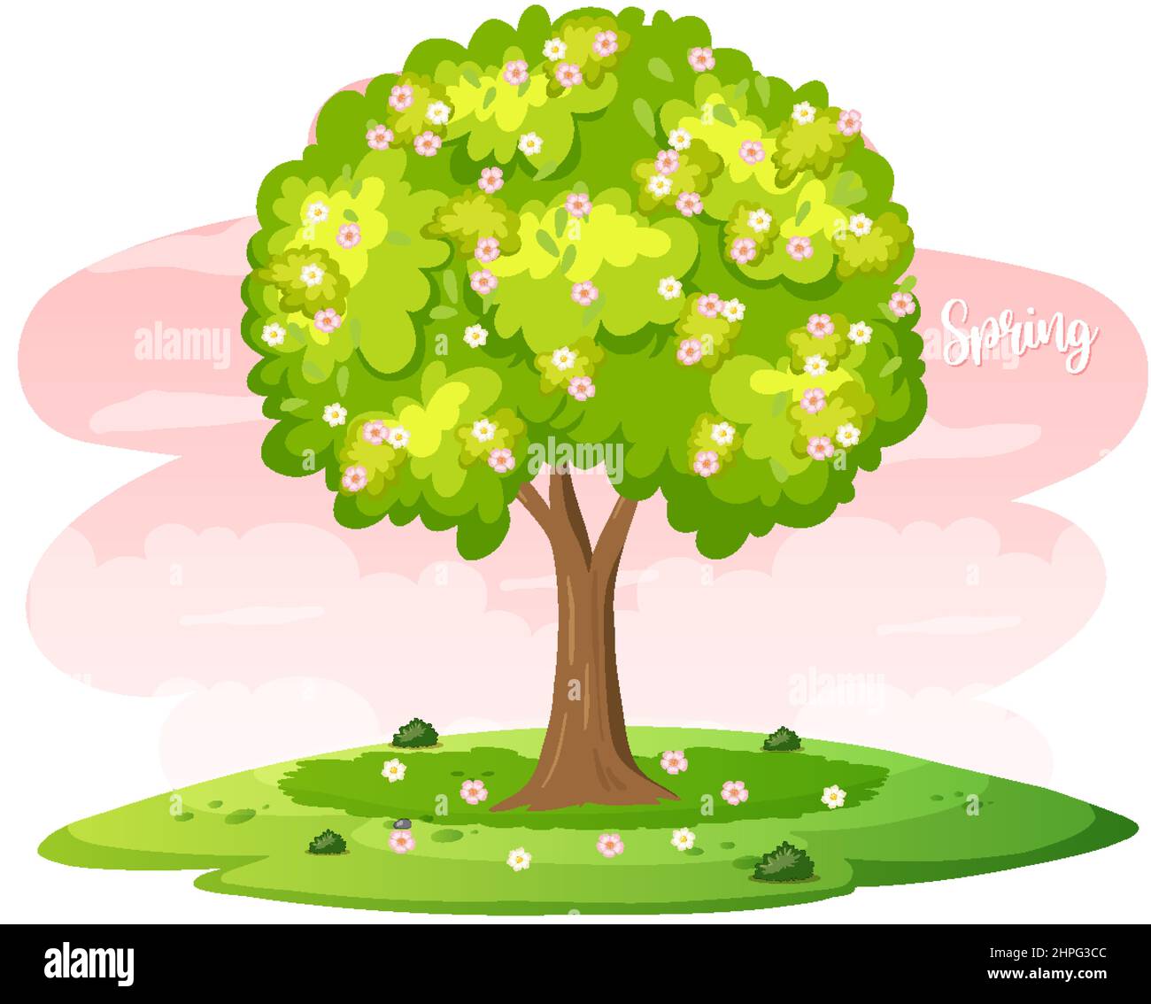 Isolated tree with flowers in spring season illustration Stock Vector ...