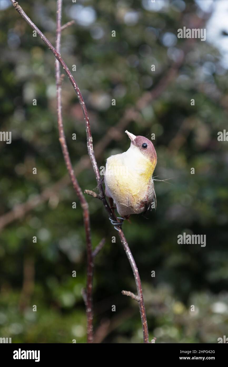 Fake bird hi-res stock photography and images - Alamy