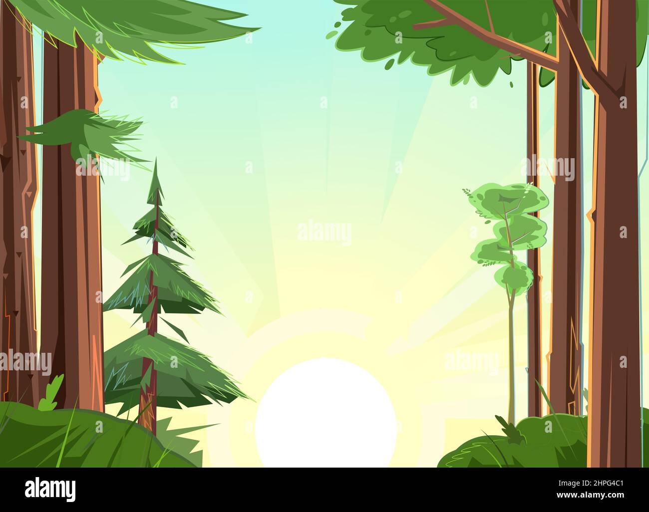 Frame trees with sunrise. Barrels and branches of plants. Coniferous ...