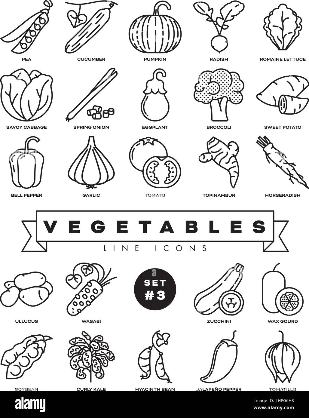 Collection of vegetables vector outline icons. Illustration of healthy ...