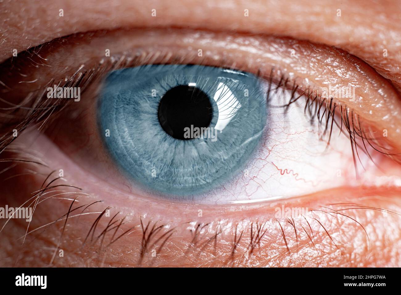 The human eye is blue, close up Stock Photo - Alamy