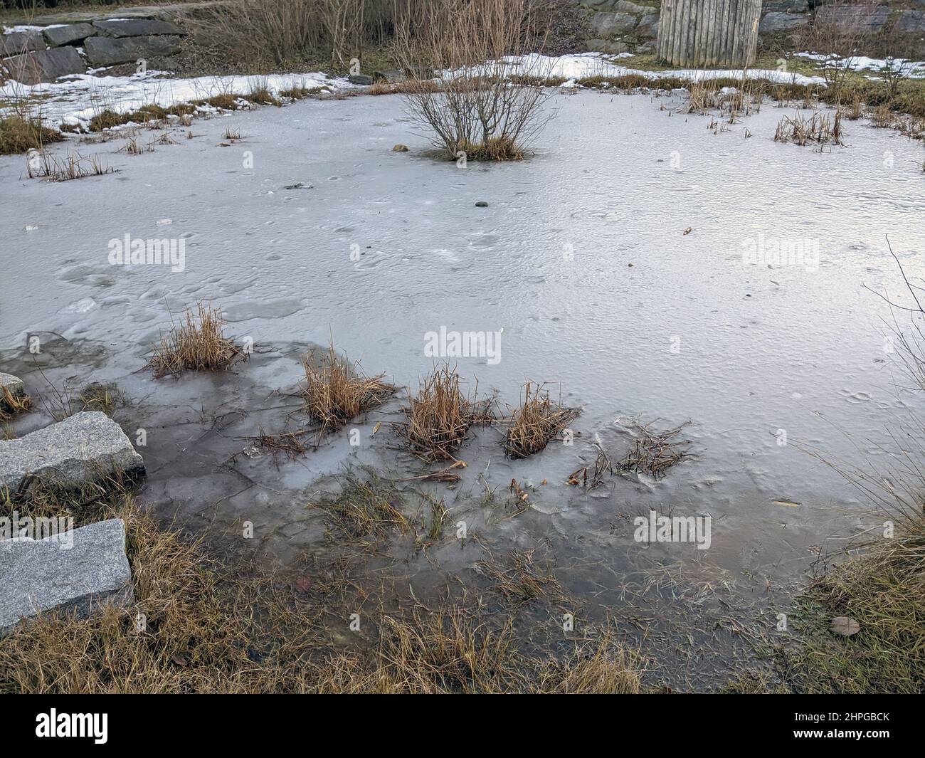 Leaves pond water wood winter nature hi-res stock photography and ...