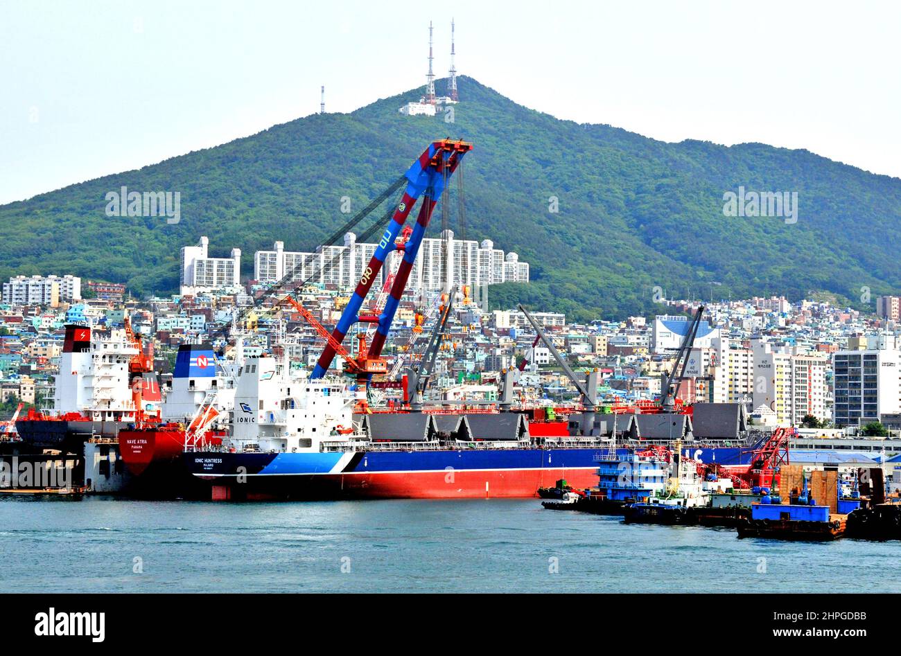 shipyard, Busan, South Korea Stock Photo - Alamy