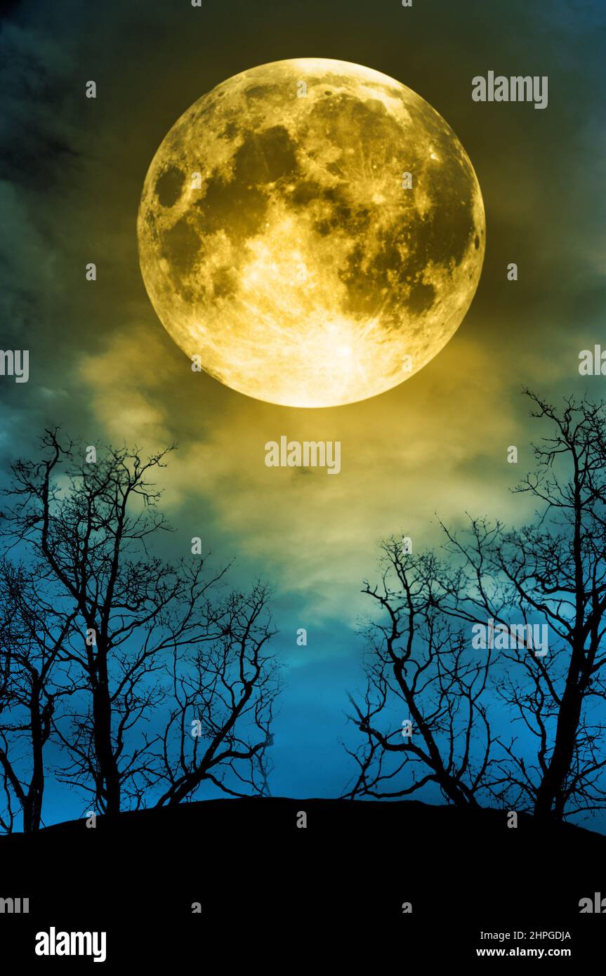 full moon and trees at n ight Stock Photo - Alamy