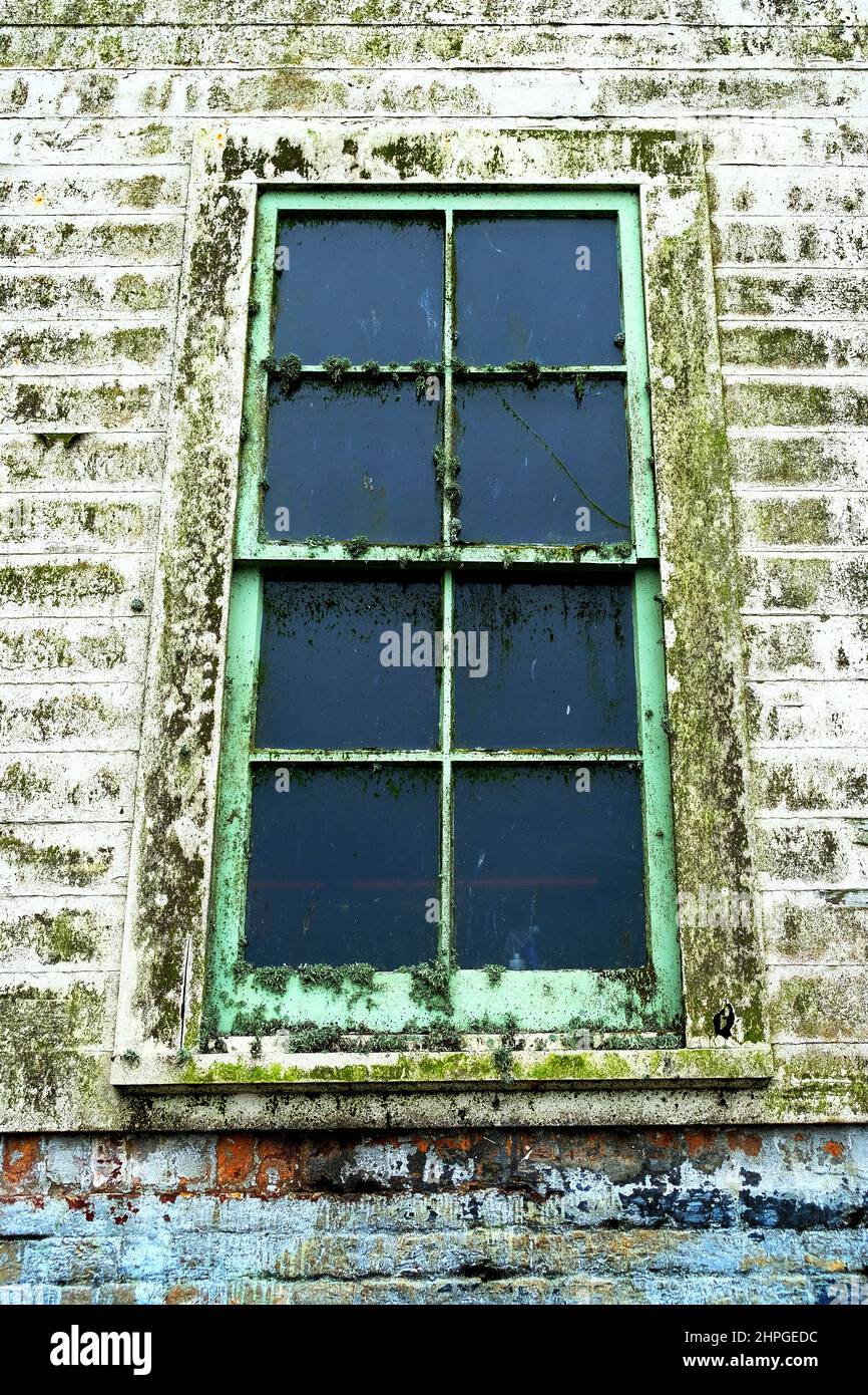 Detail of old moss covered window panes with glass painted white ...