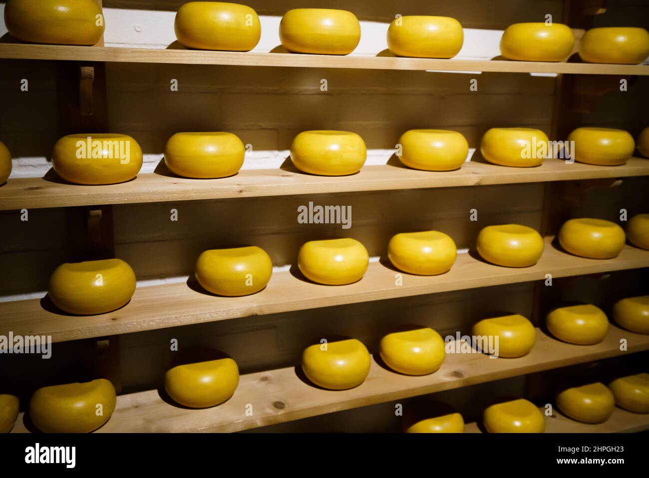 Cheese shop display. Farmer cheese. Cheese wheels in store Stock Photo ...
