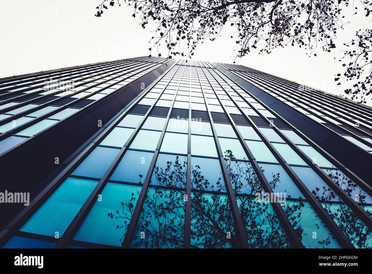 Modern business skyscrapers, high-rise buildings Stock Photo - Alamy