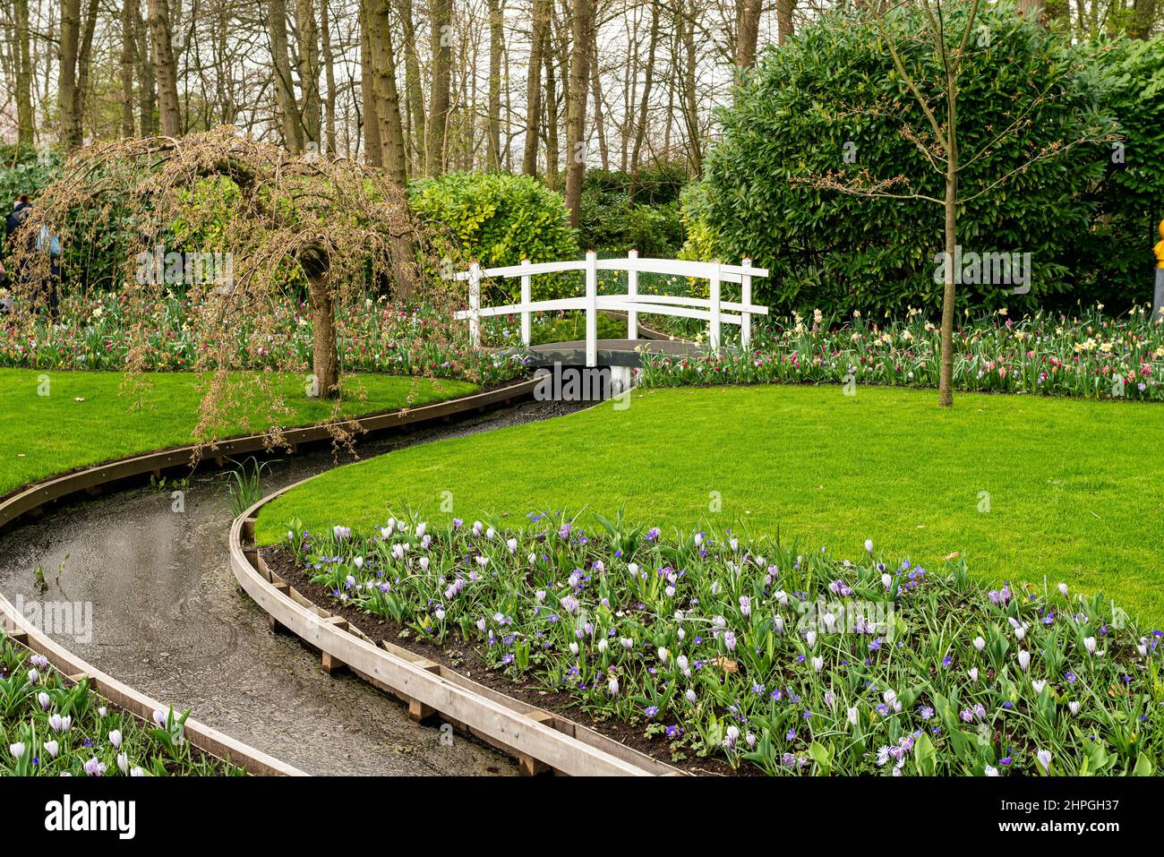 Formal spring garden. Flower Bed In Keukenhof Gardens Stock Photo - Alamy