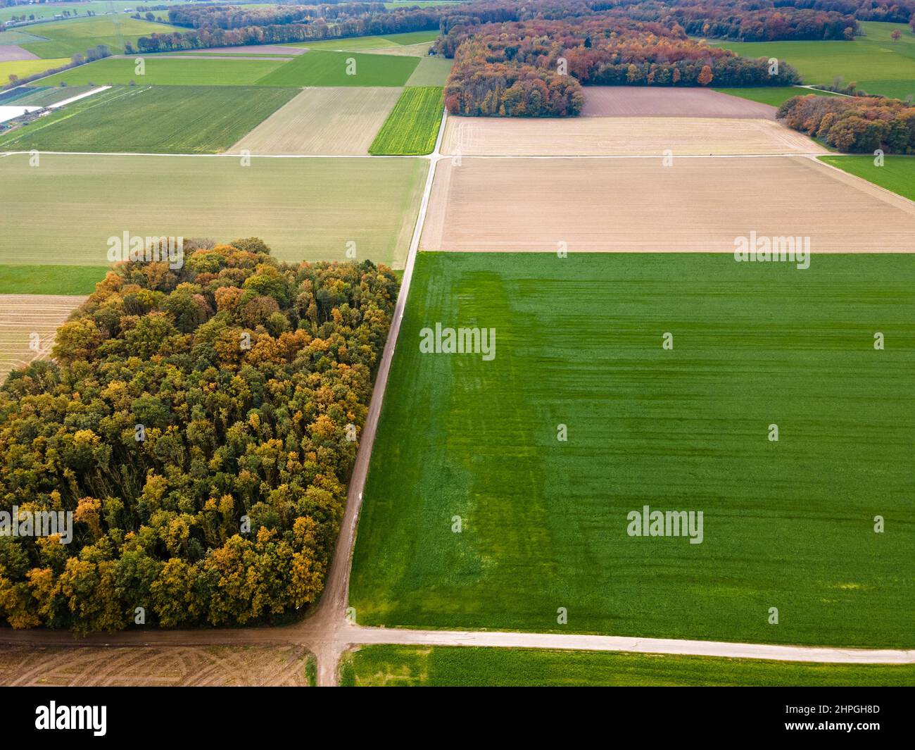 Aerial view of agricultural fields. fields at farmland. drone photo ...