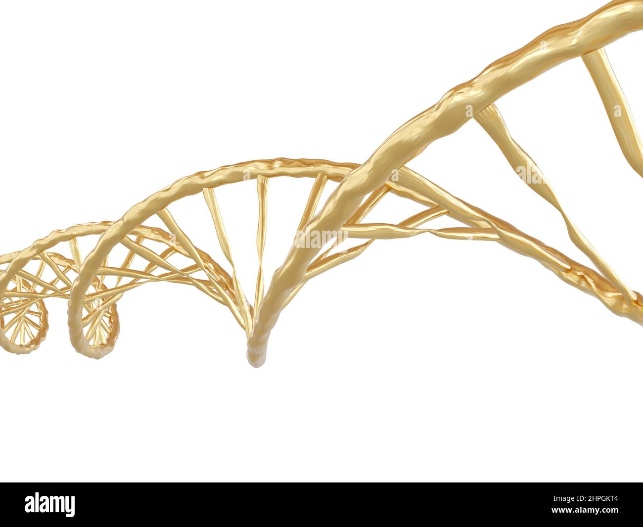 Segment of golden DNA structure on white background Stock Photo - Alamy