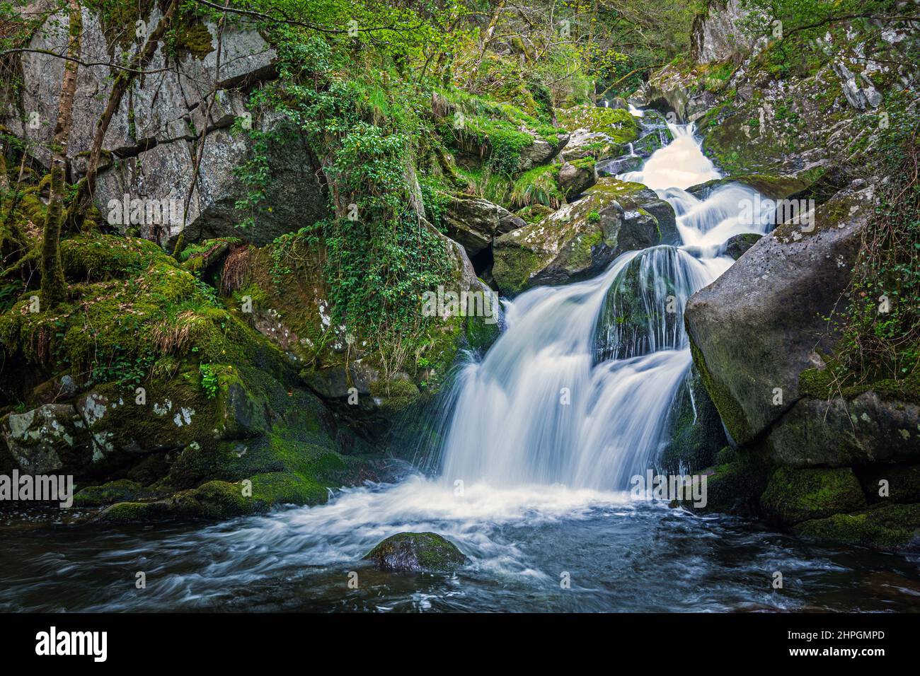 The water of a stream falls gently on the rocks with moss forming small ...