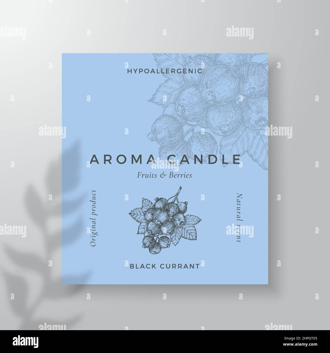 Aroma candle vector label template. Black Currant berry scent from ...