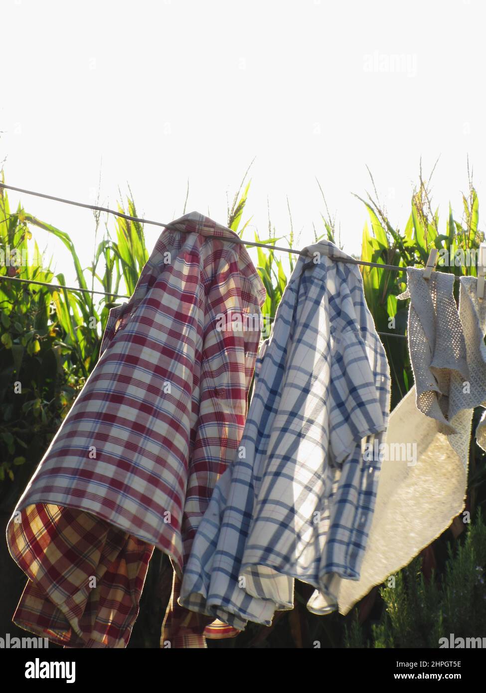 Clothes are hanging on clothesline Stock Photo - Alamy