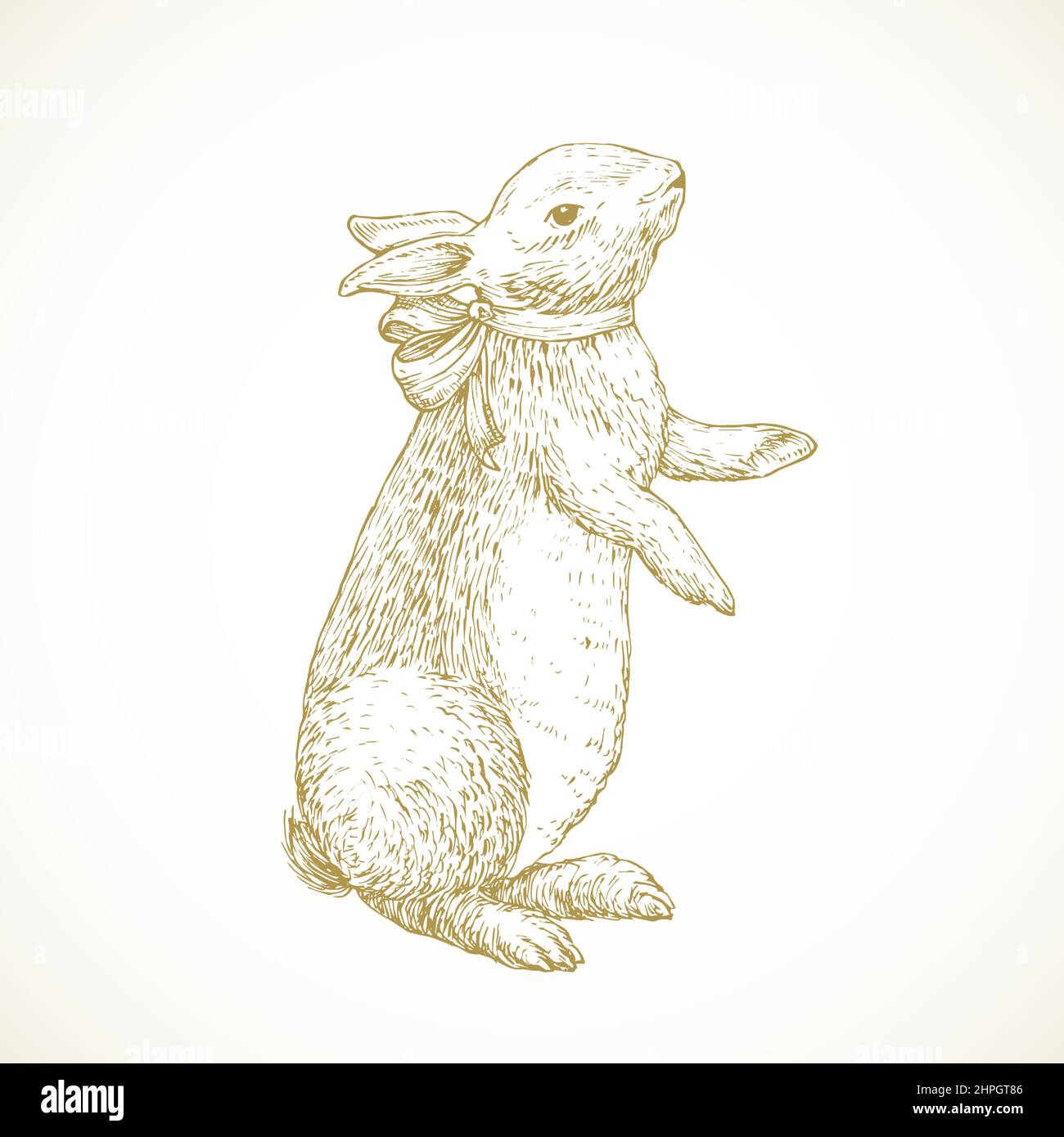 Cute Easter Bunny Drawing