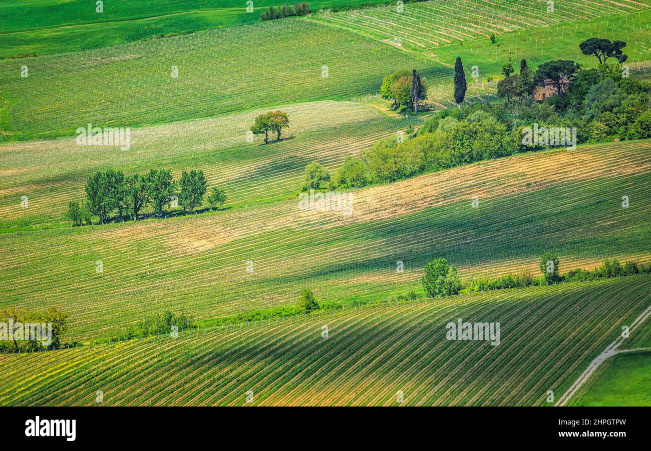 Landscape with a cypresses in Val d'Orcia region of Tuscany in spring ...