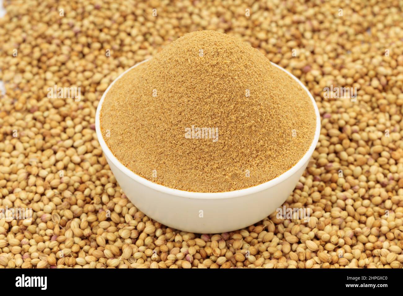 Coriander seeds with coriander powder ,indian spice ; main ingrediant for indian dishes ...