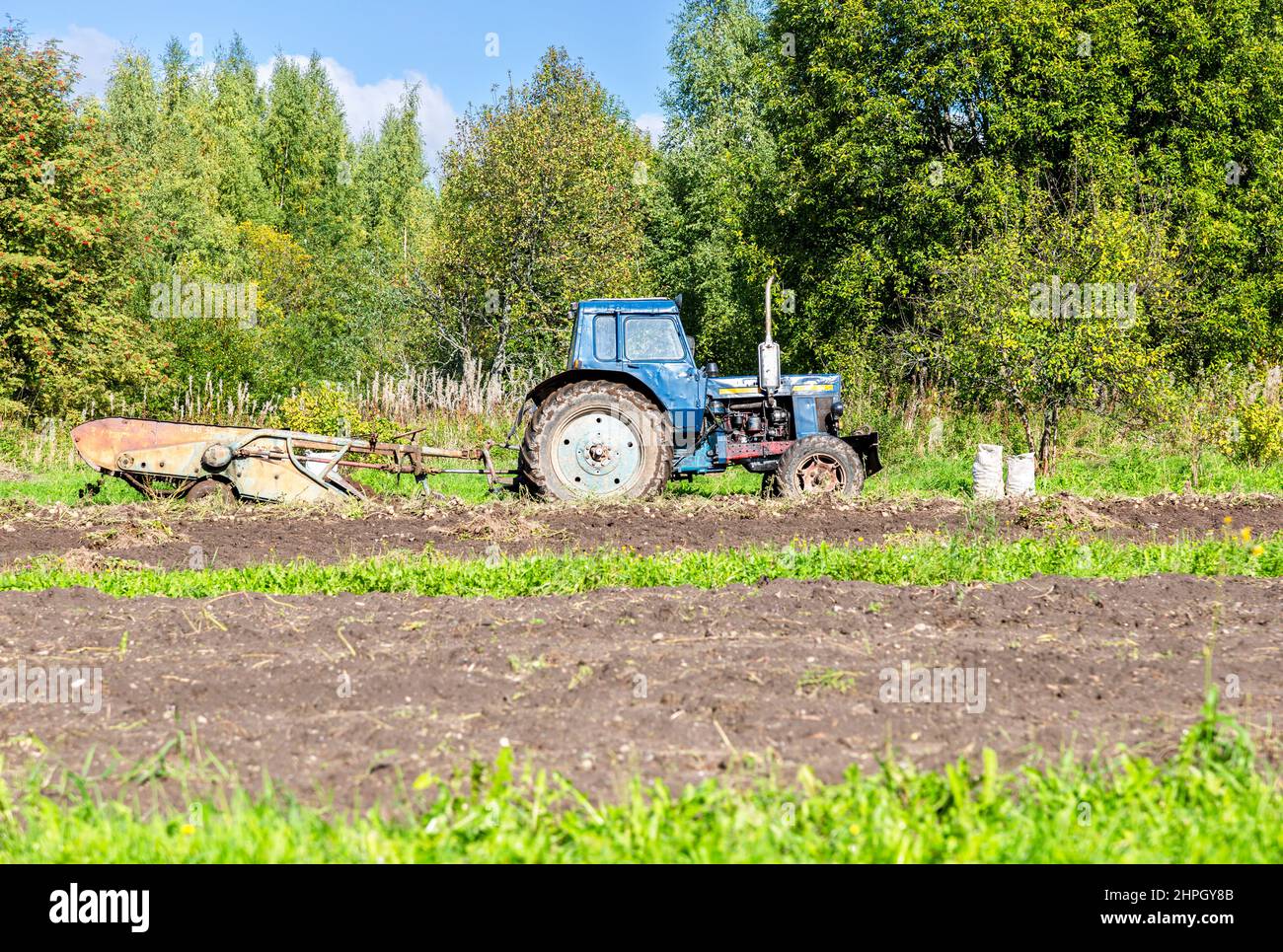 Old wheeled agricultural tractor working at the potato field in summer ...