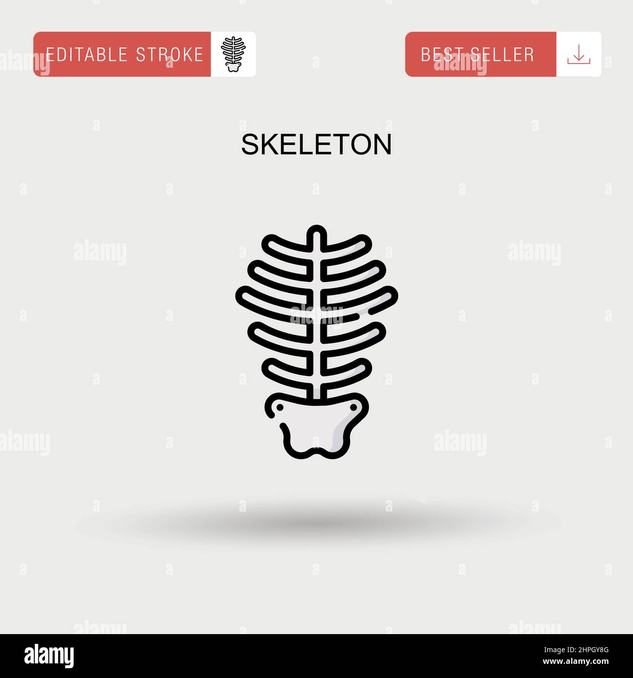 Spine drawing vector hi-res stock photography and images - Alamy