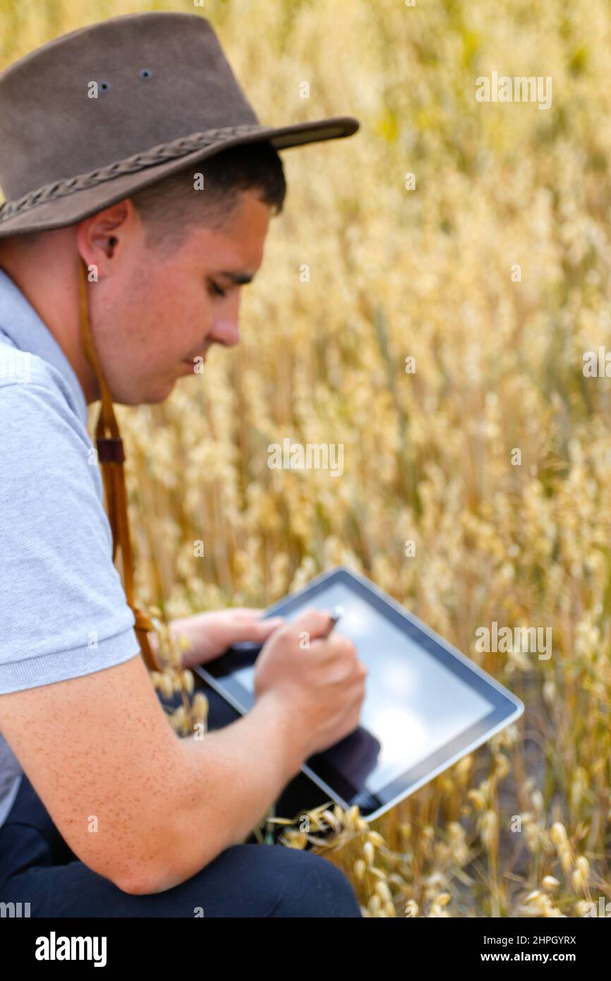 Digital farm. Portrait of farmer seating in gold wheat field and ...