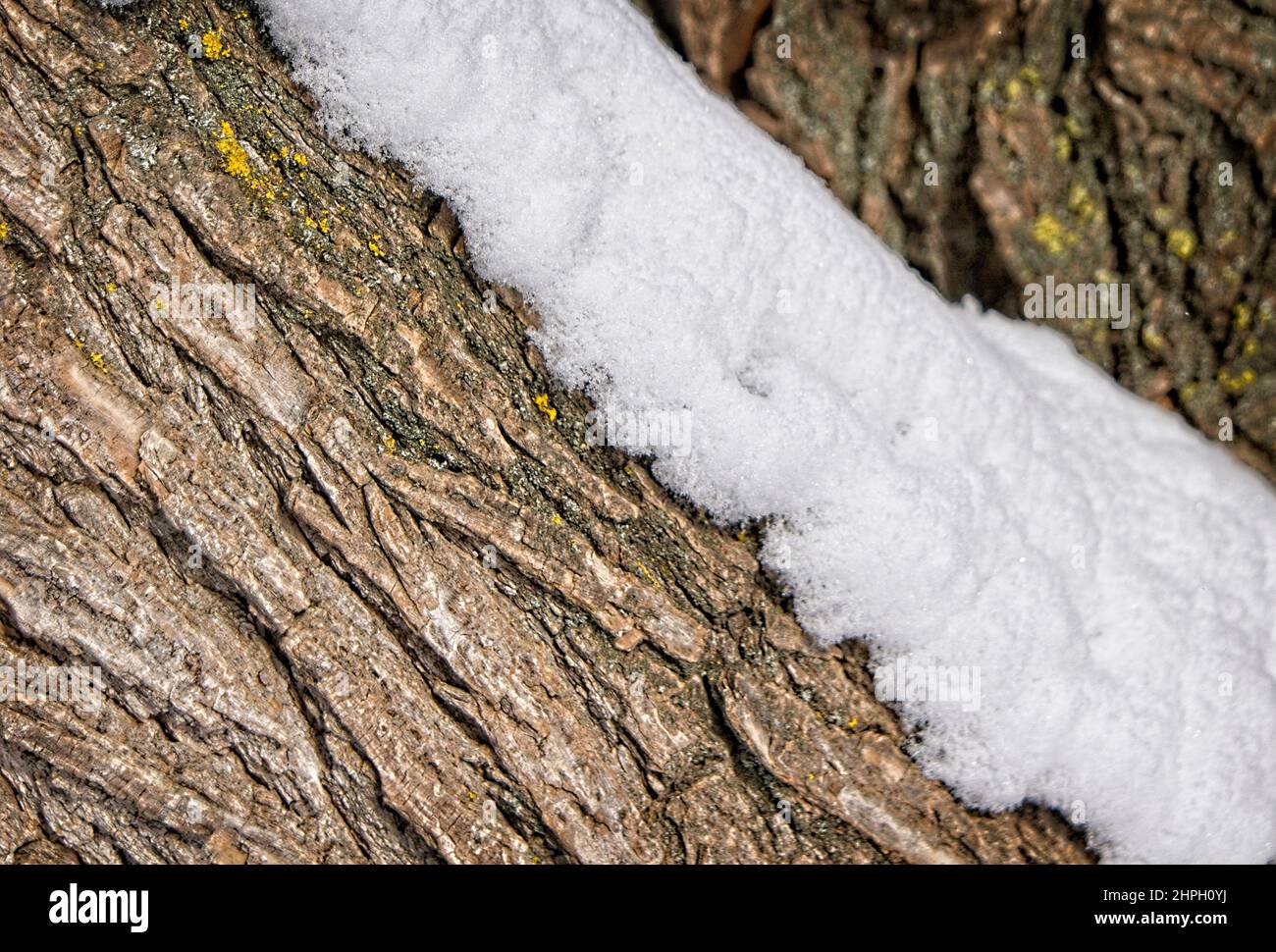 Bowmont Park Calgary Alberta Stock Photo - Alamy