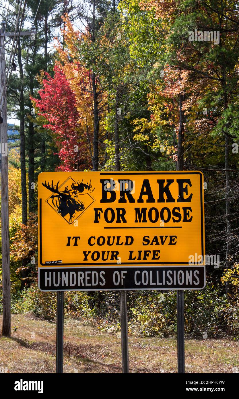 Moose warning sign fall hi-res stock photography and images - Alamy