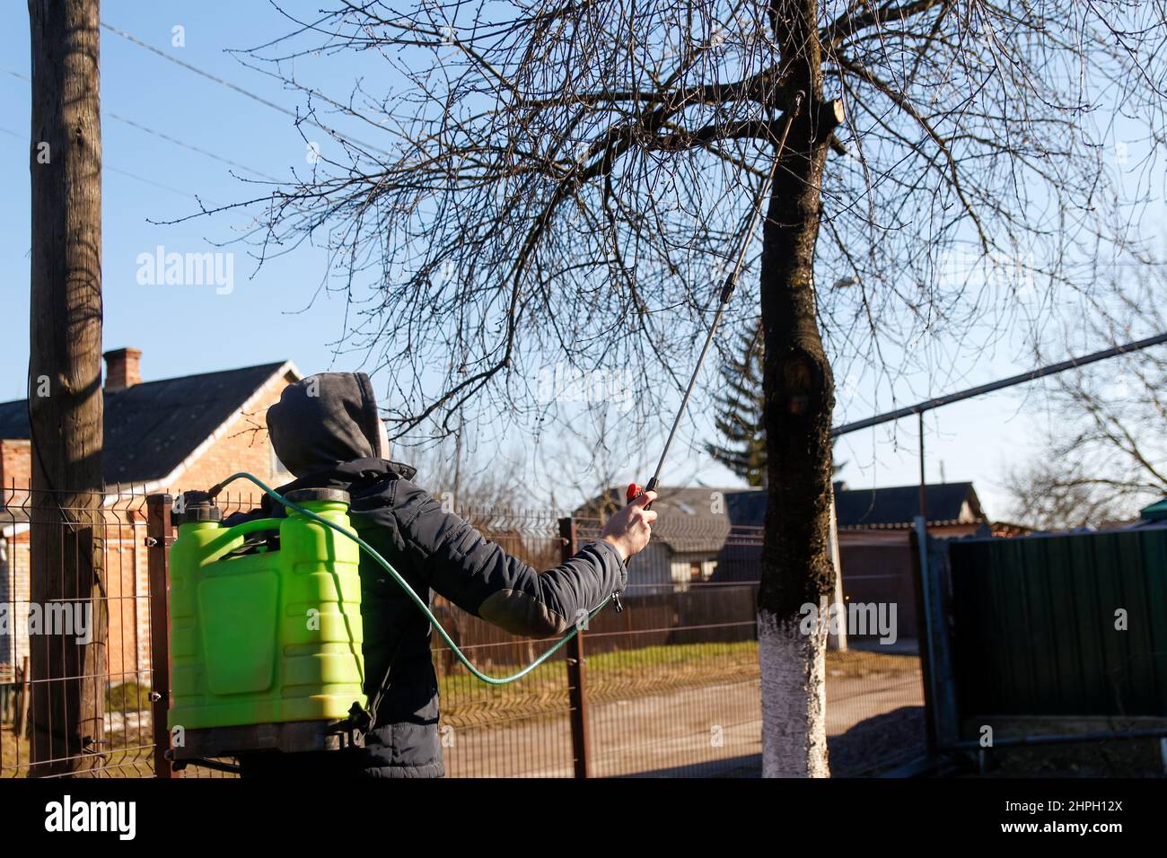 Spray pesticides, pesticide on fruit tree. Defocus farmer man spraying ...