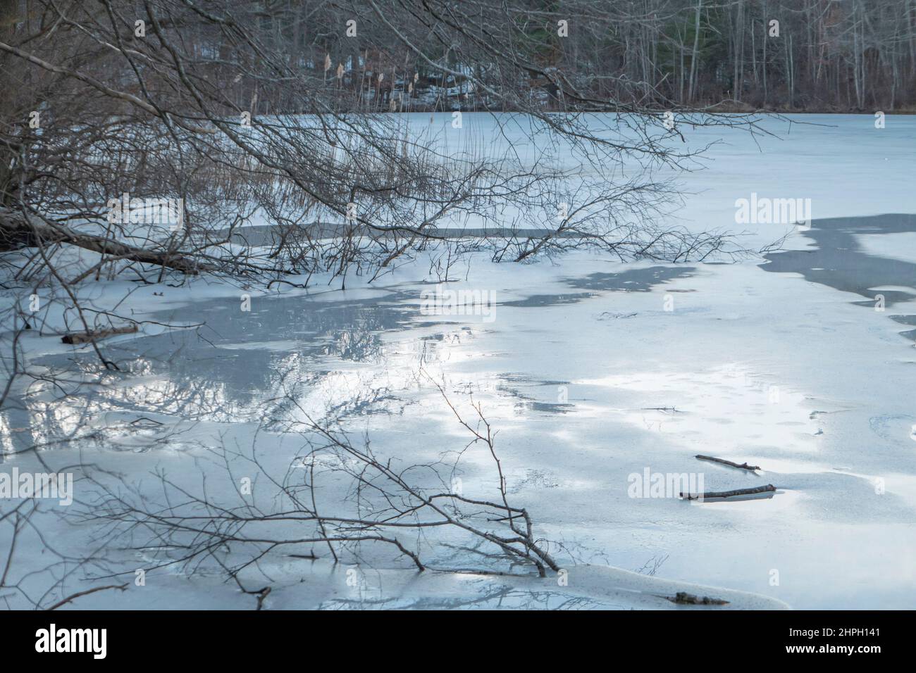 Blue Hills Reservation in Braintree Massachusetts Stock Photo - Alamy