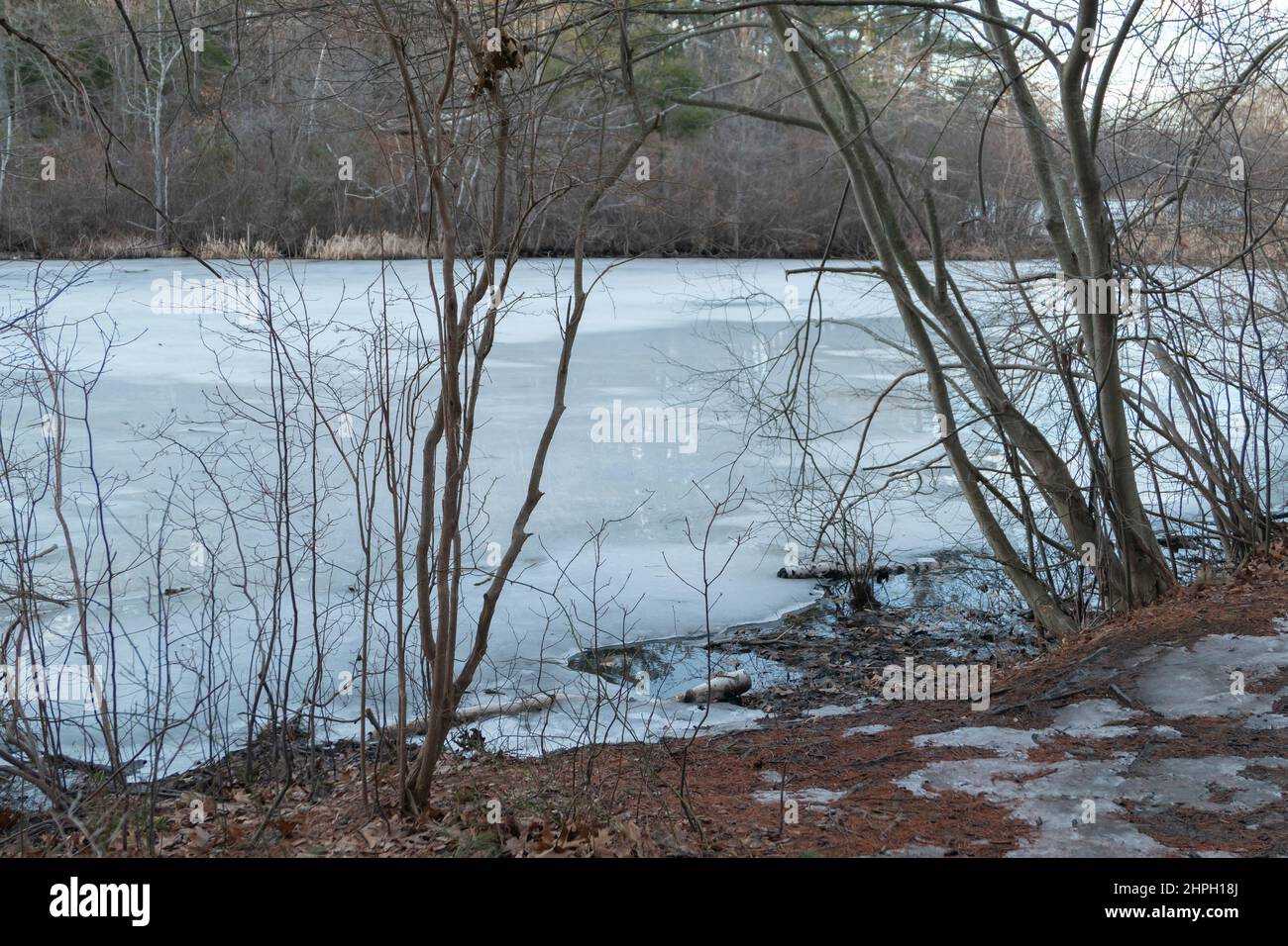 Blue Hills Reservation in Braintree Massachusetts Stock Photo - Alamy