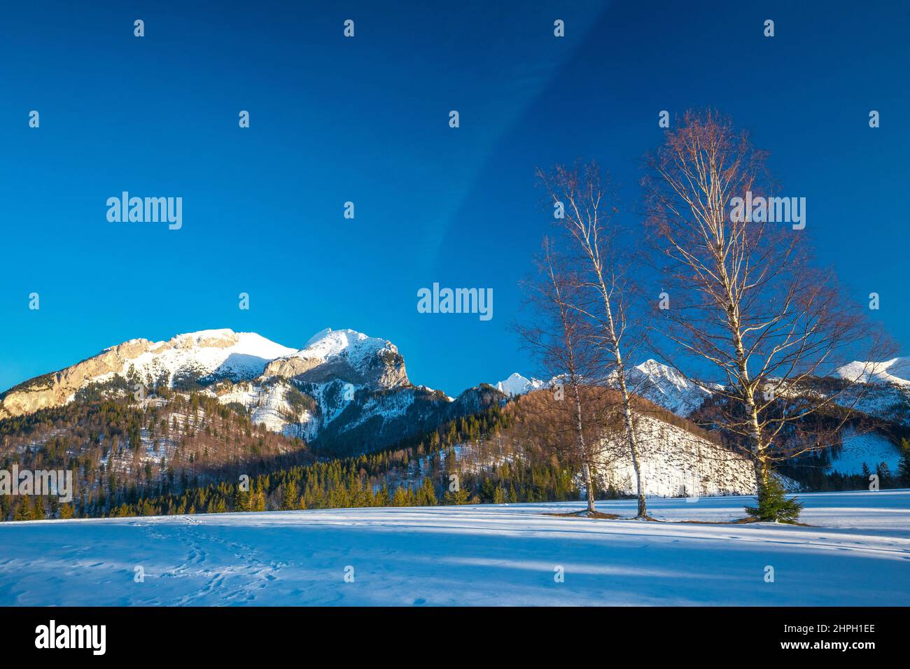 Snowy winter landscape with mountains at sunset. High Tatras National ...