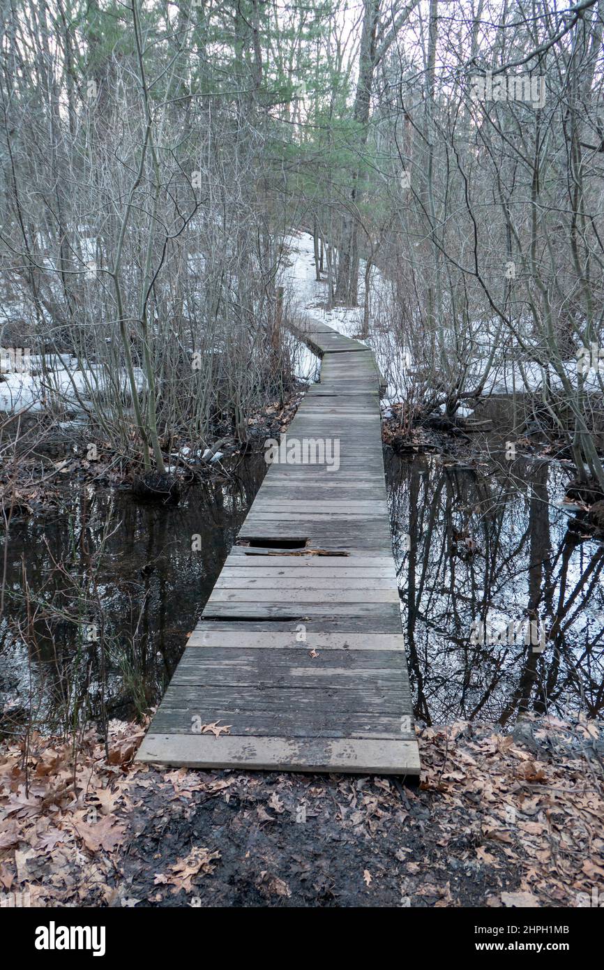 Blue Hills Reservation in Braintree Massachusetts Stock Photo - Alamy