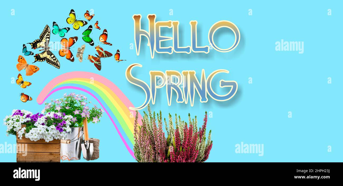 Hello spring background with flowers and butterflies Stock Photo - Alamy