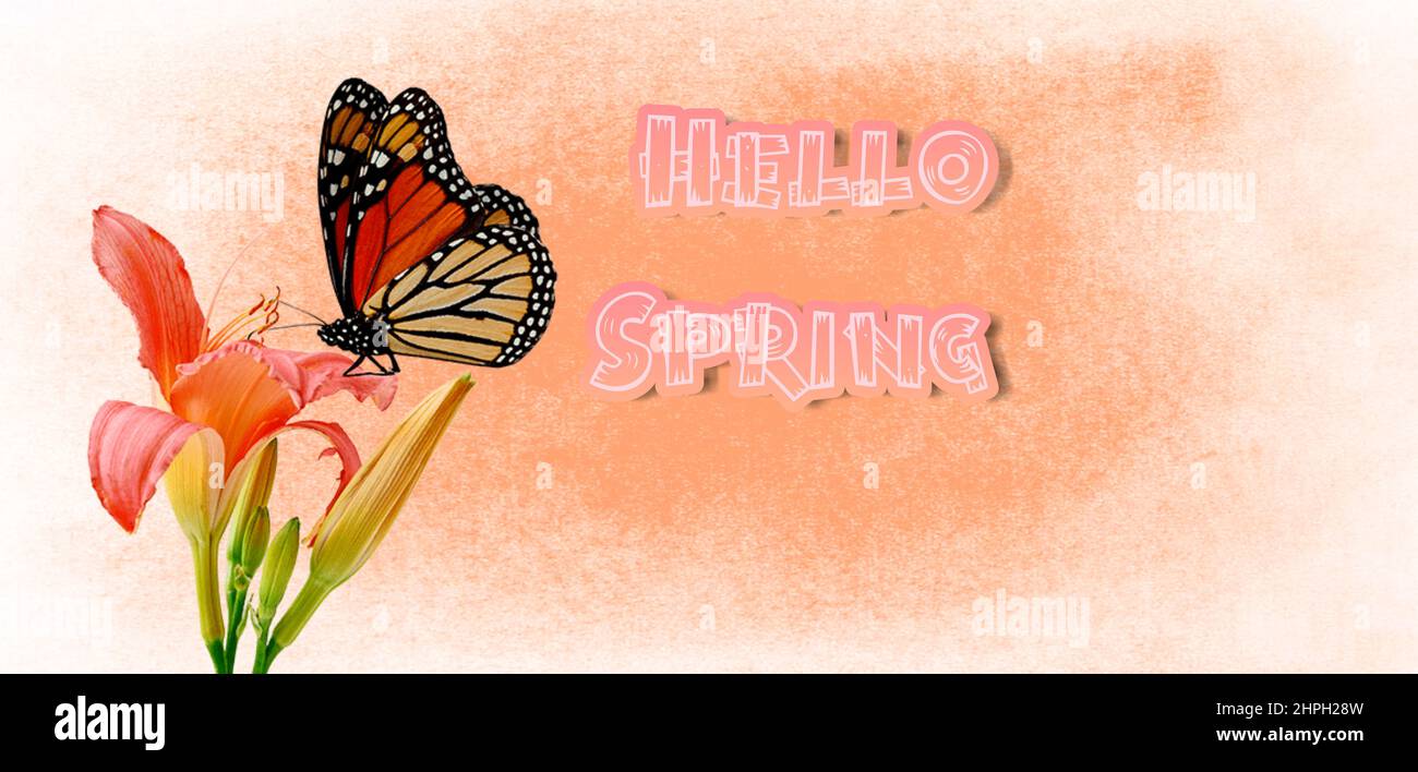 Hello spring background with flowers and butterflies Stock Photo - Alamy