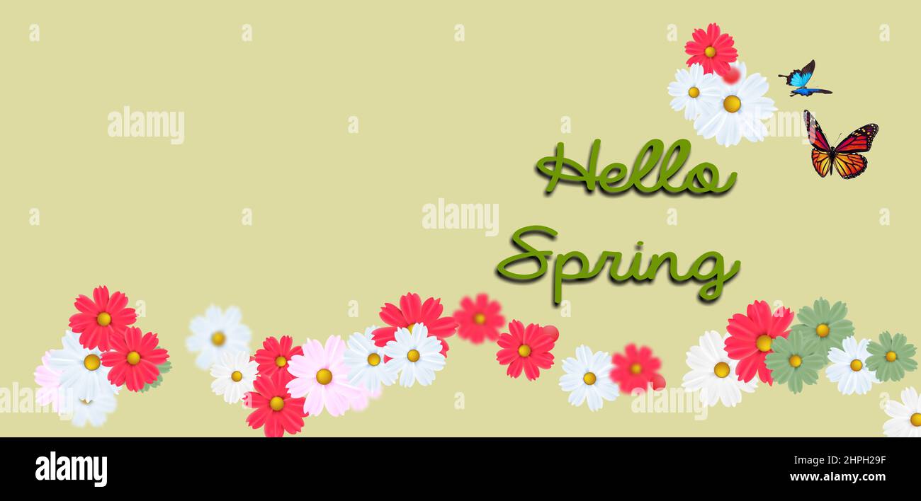 Hello spring background with flowers and butterflies Stock Photo - Alamy