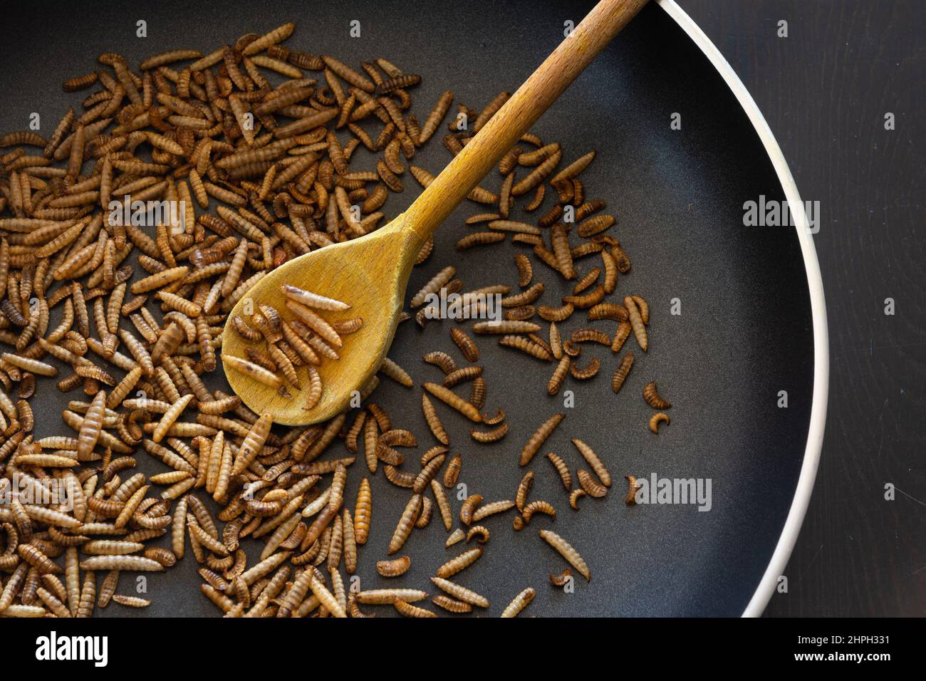 Mealworms in a pan with wooden stirring spoon ready to be fried ...