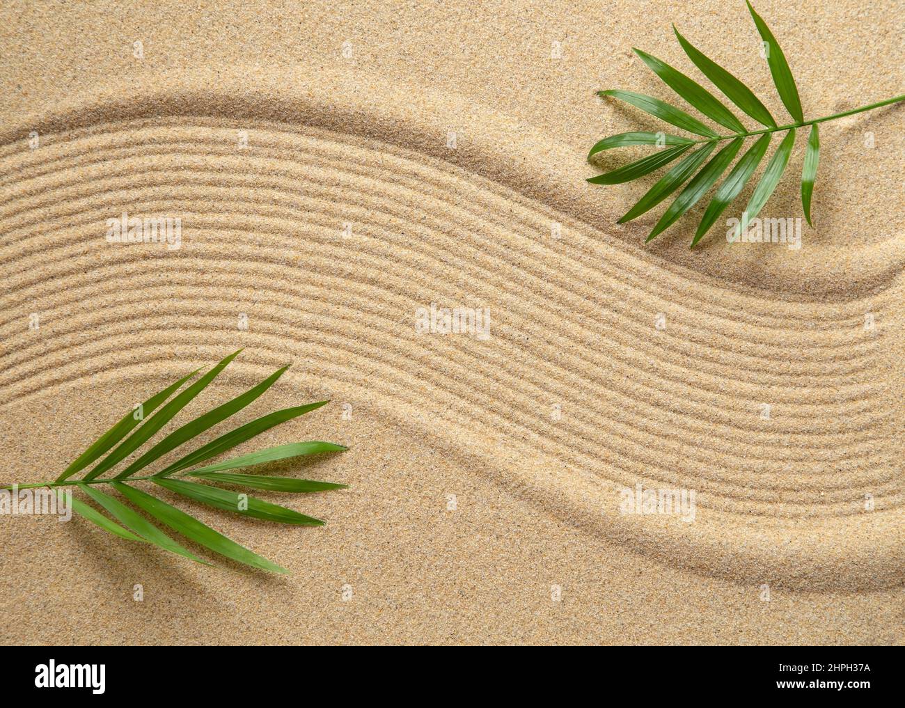 Zen Garden Sand Texture
