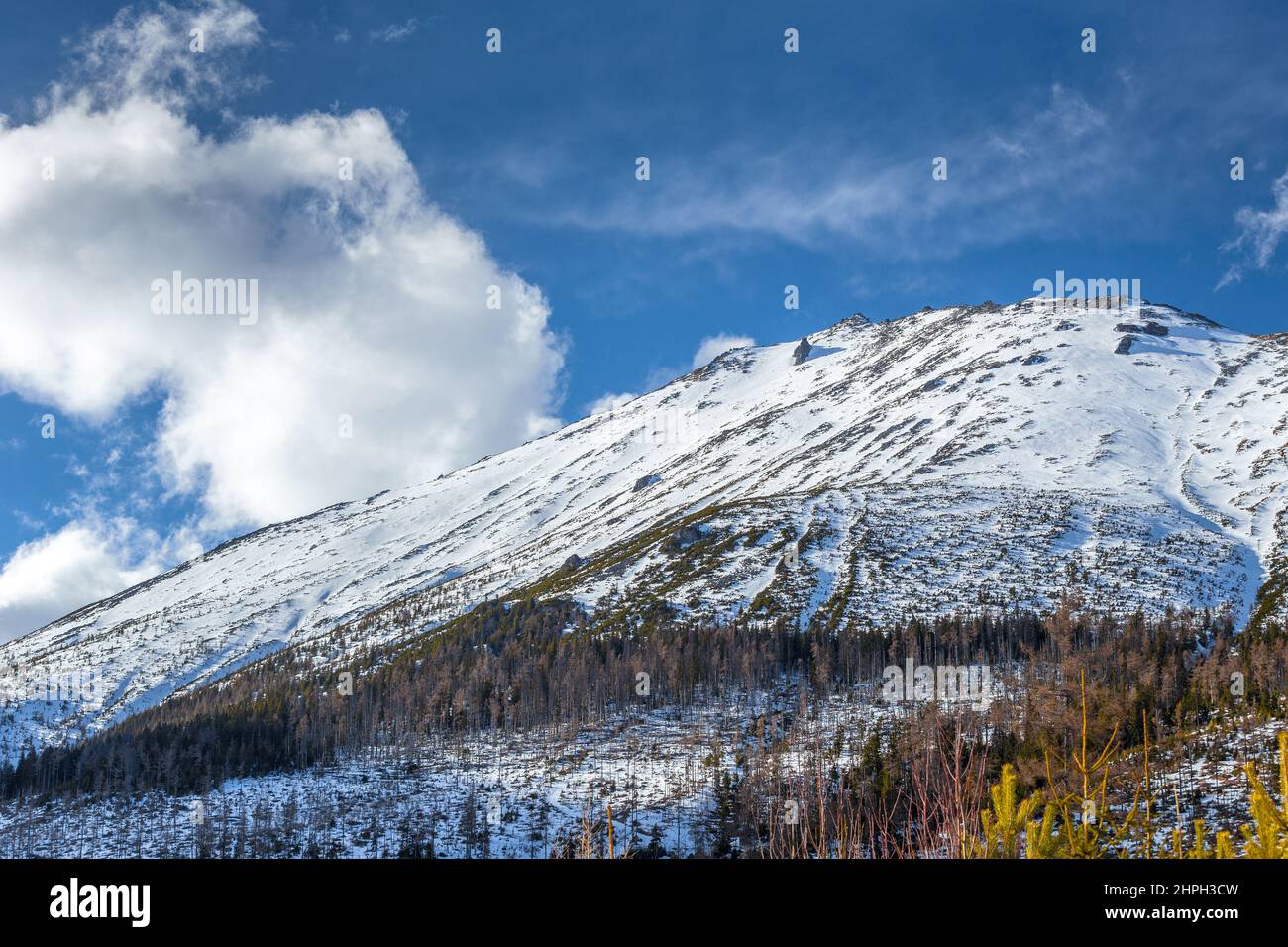 View of the landscape with snowy mountains in the background. The ...
