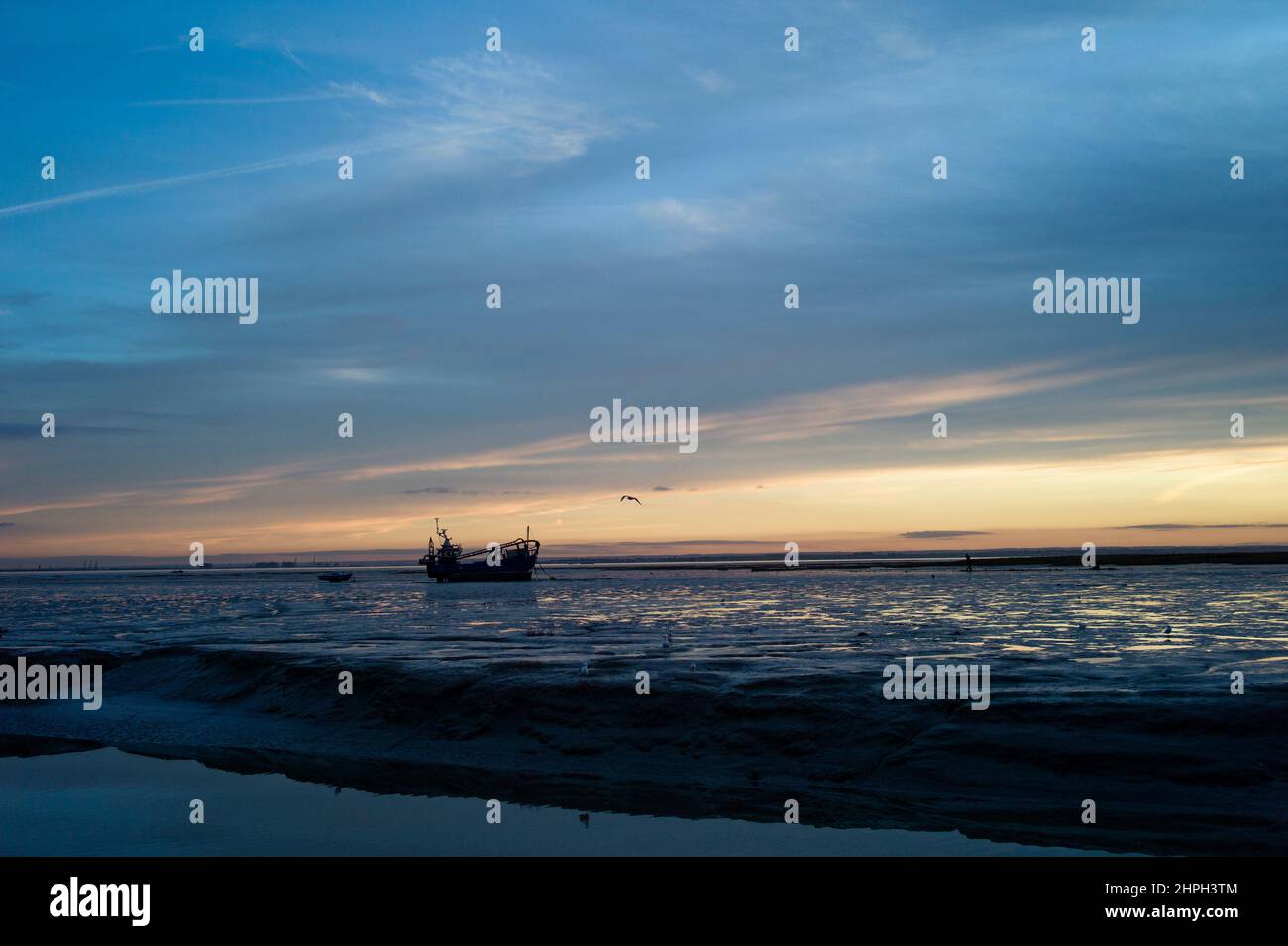 fishing trawler beached on the mudflats of the river Thames estuary at ...