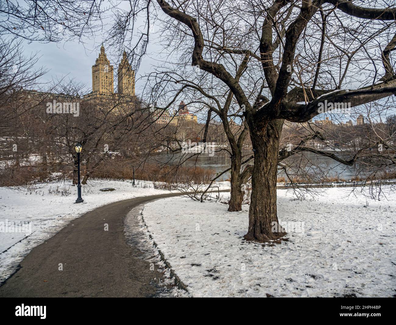Central Park in winter after snow storm, early morning Stock Photo - Alamy