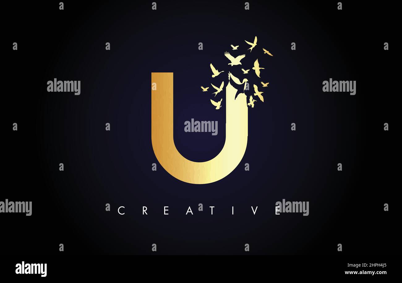 U letter bird logo Stock Vector Images - Alamy