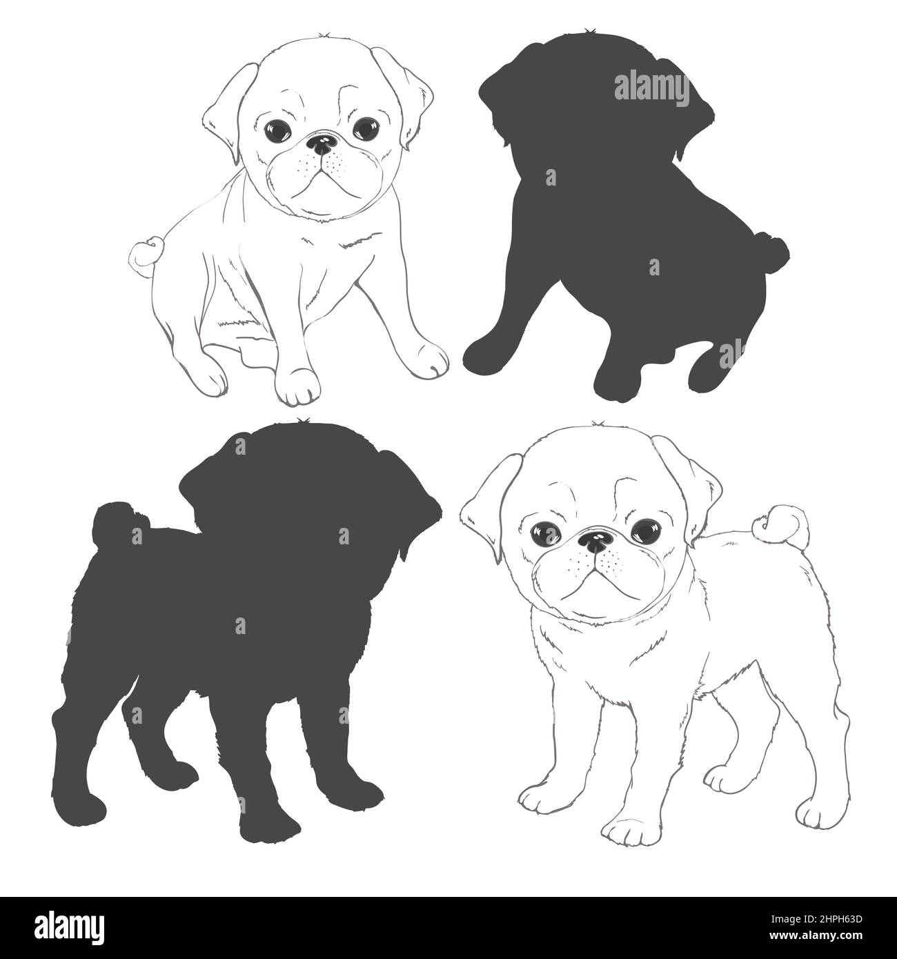 Set of vector images of pug. Isolated objects on a white background ...